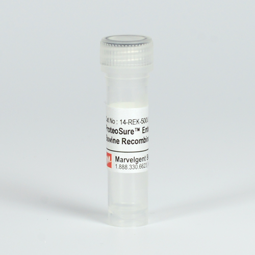 Recombinant bovine Enterokinase, animal-free | Marvelgent Biosciences