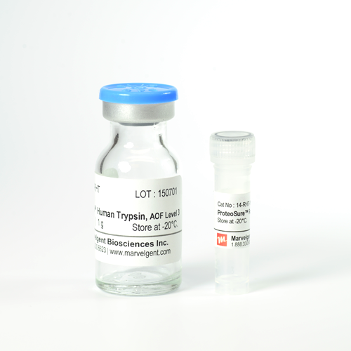 Recombinant human Trypsin, AOF | Marvelgent Biosciences